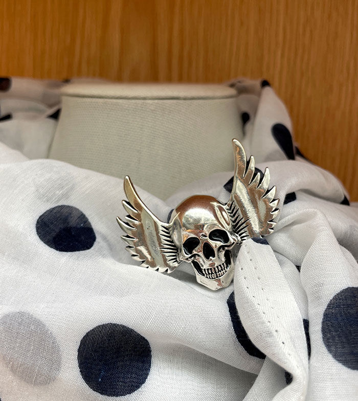 Not Necessity. Crystal Horror Winged Skull Brooch | Halloween Lapel Pin ...