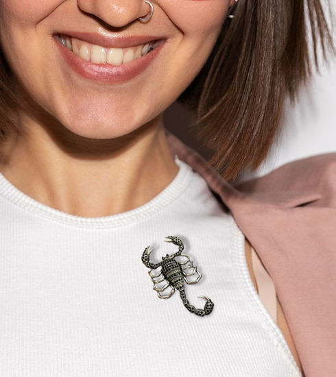 Not Necessity. Scorpio Brooch with Black Rhinestones | Movable Tail ...
